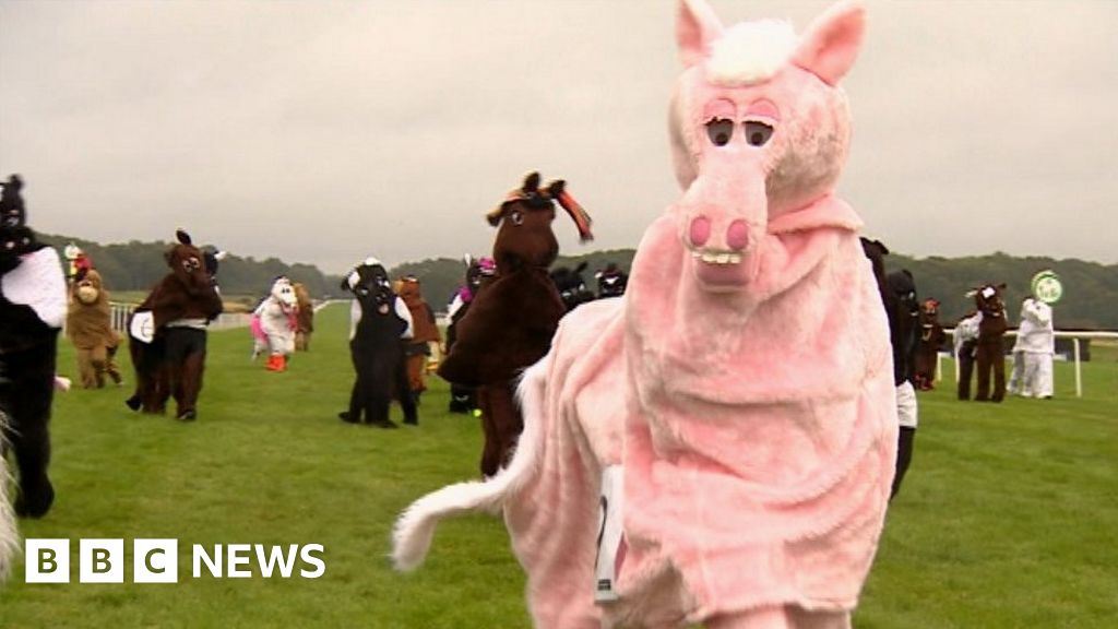 Newcastle Racecourse panto animals set new world record - BBC News