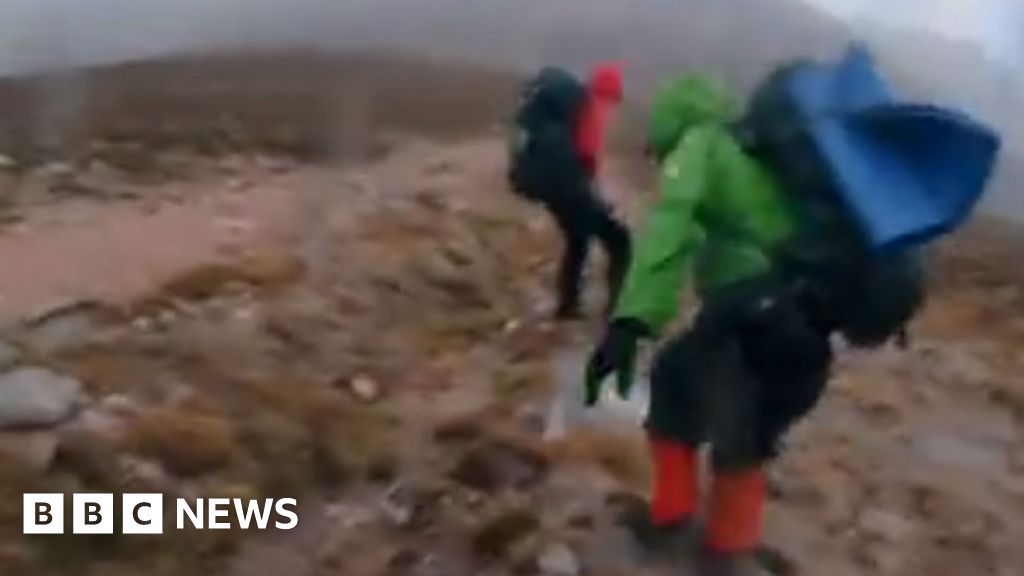 Clip shows wild winter weather in Cairngorms - BBC News
