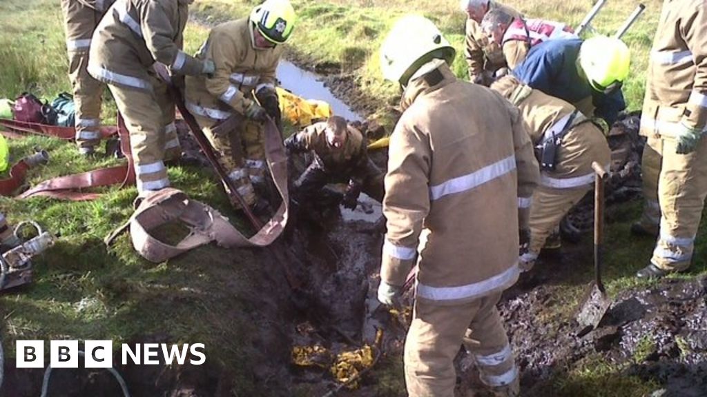 Seventeen firefighters rescue bull from ditch - BBC News