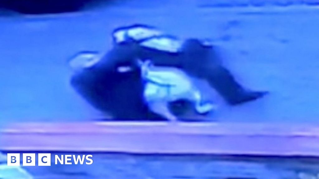 Margate dog attack: Man injured and another dog killed