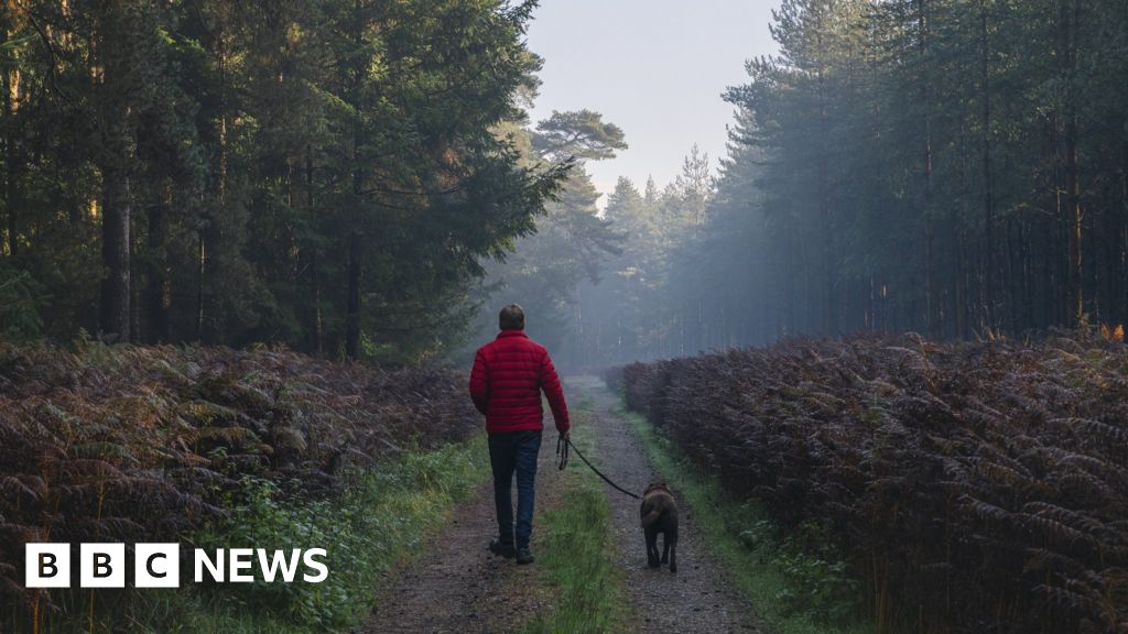 Surrey County Council launches dog walkers code - BBC News