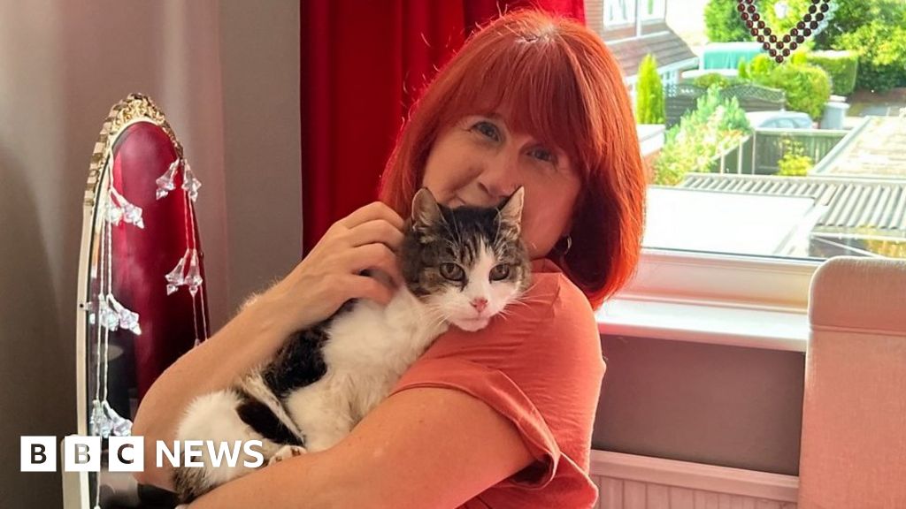 Cat missing for 11 years reunited with Sandbach owner - BBC News