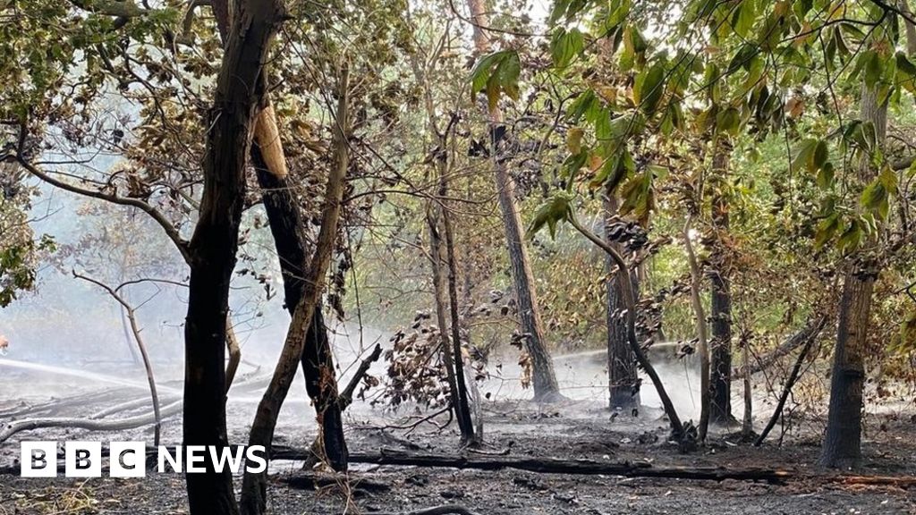 Essex Firefighters tackle field and scrapyard fires - BBC News
