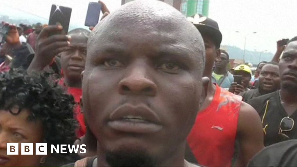 English-speaking Cameroonians protest against French - BBC News