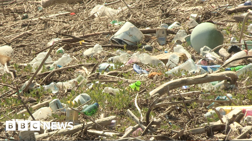 Plastic pollution: Council to install drinking water fountains - BBC News