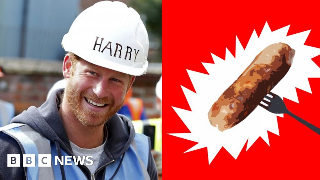 Princes called 'sausage' on DIY SOS by resident electrician - BBC News