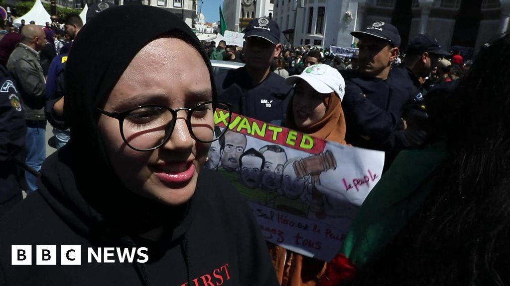 Algeria protests: 'I'm getting closer to my freedom'
