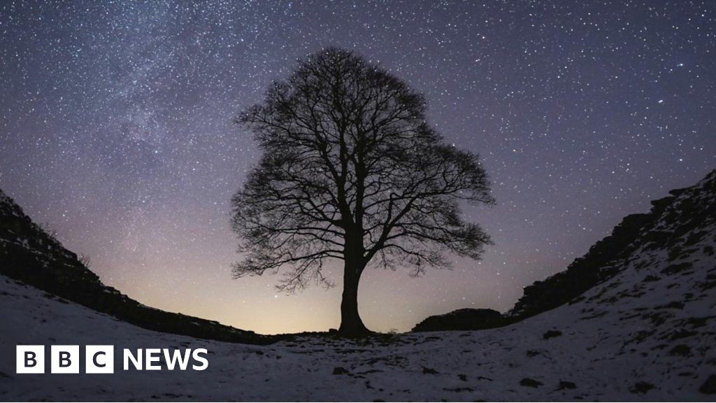 Watch: The Sycamore Gap... then, and now