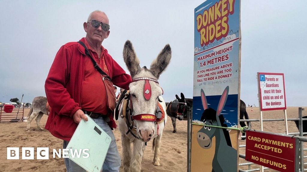 Skegness donkey-ride owner 'weighs kids on beach' - BBC News