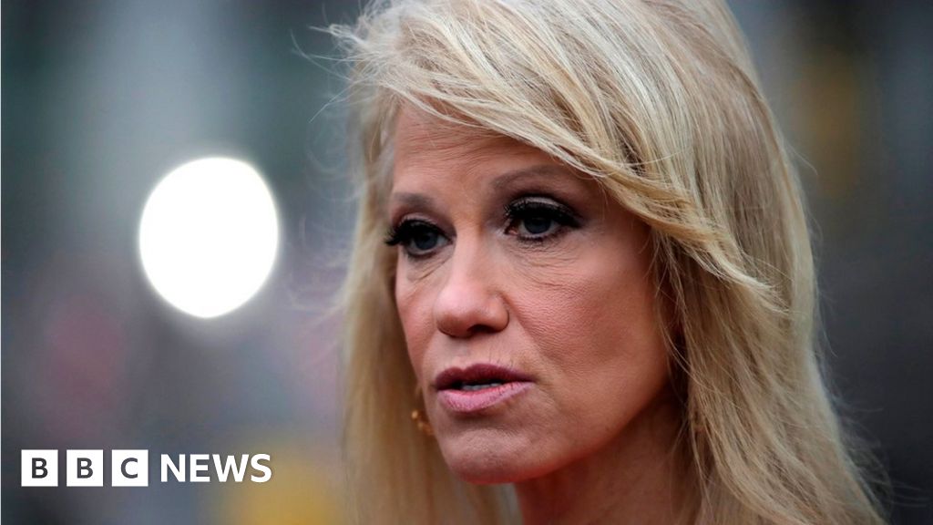 Kellyanne Conway White House Advisor Assaulted In Restaurant
