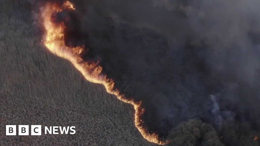 Chernobyl forest fires still raging - BBC News