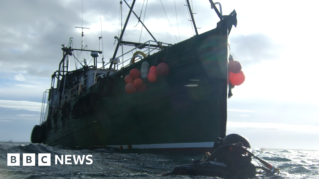 Orkney diver death probably caused by boat propeller - BBC News