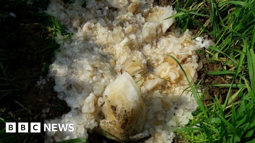 'Airline poo' falls on India village causing confusion - BBC News