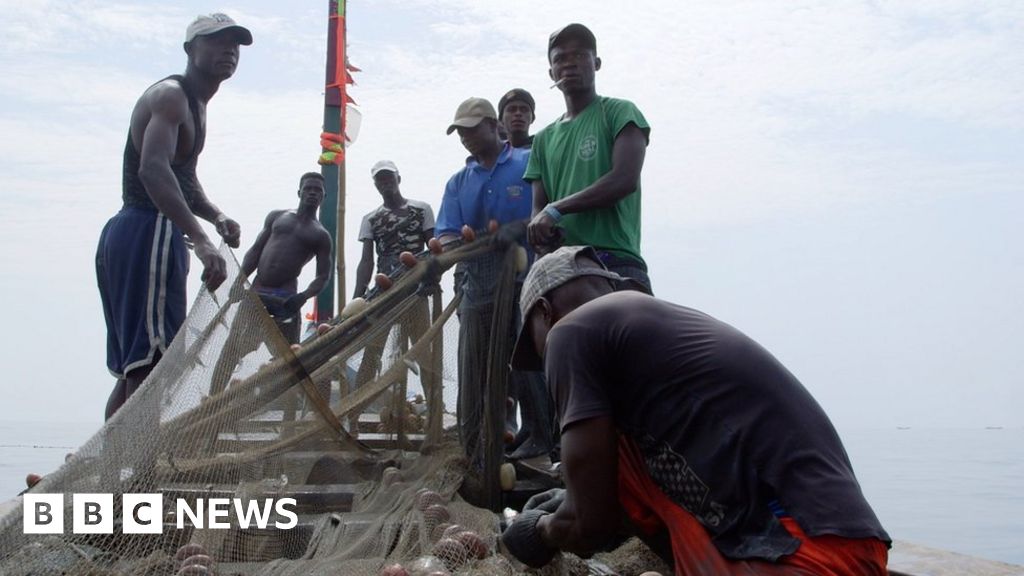Is China's fishing fleet taking all of West Africa's fish? - BBC News