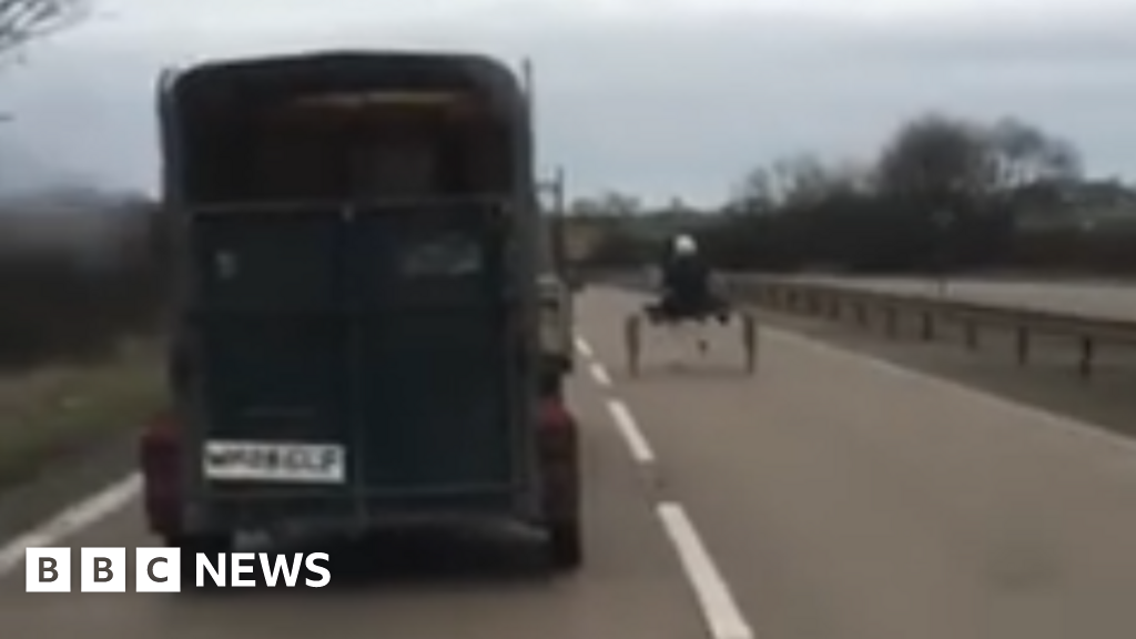 Horse and trap raced on Leicester dual carriageway - BBC News