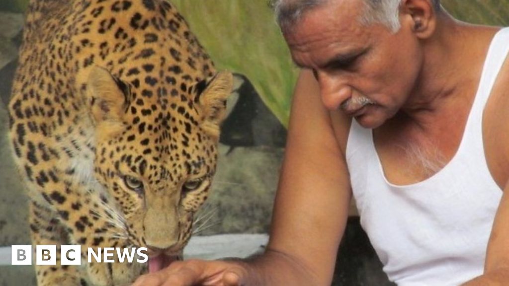 The Indian man who shares his house with leopards and bears - BBC News
