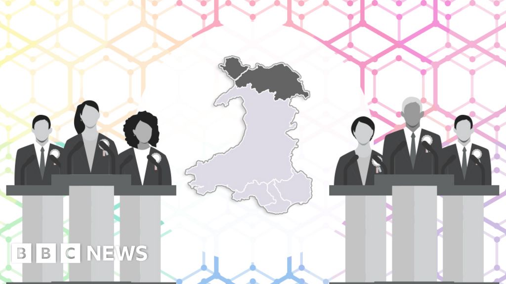 Welsh Parliament election 2021: North Wales regional candidates - BBC News
