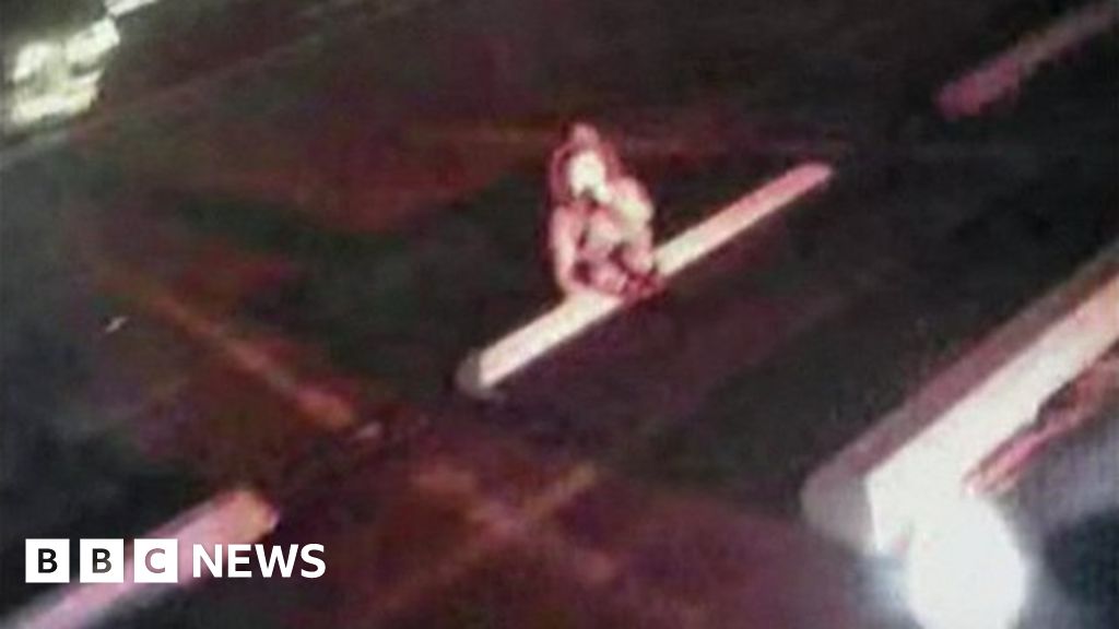 Us Toddler Found Safe After Mother S Car Stolen Bbc News