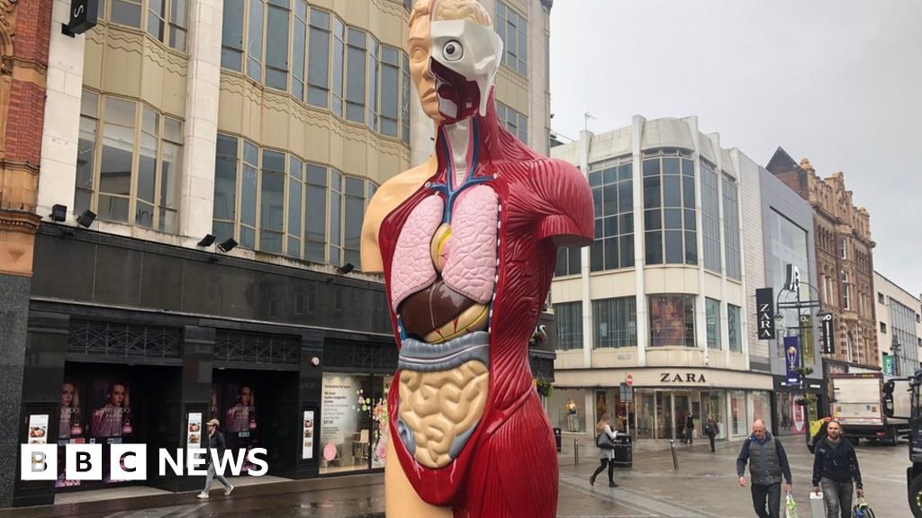 Hirst sculptures on display in Leeds city centre - BBC News