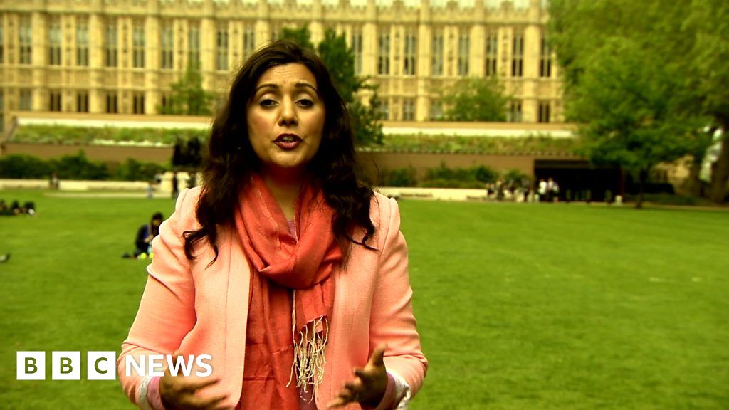 EU referendum: Conservative MP Nusrat Ghani makes the case for Leave ...