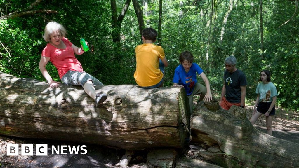 South Yorkshire: Plan to restore and protect green spaces - BBC News