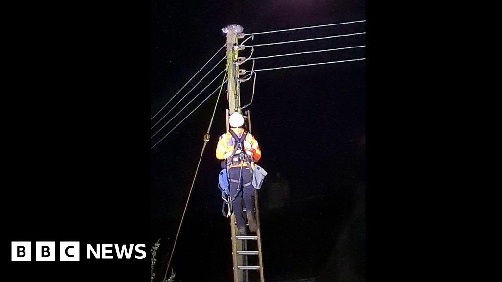 Power turned off for dramatic cat rescue