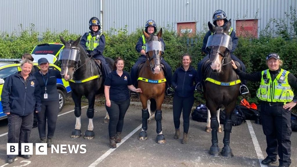 Mounted West Midlands Police officers at Villa match
