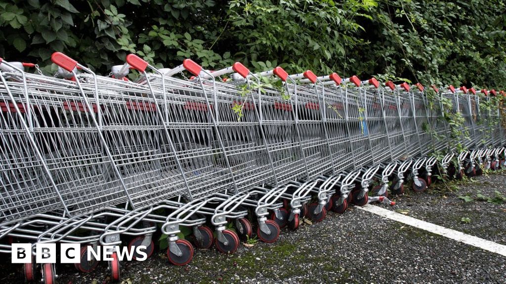 Swedish man killed in Sydney shopping trolley crash - BBC News