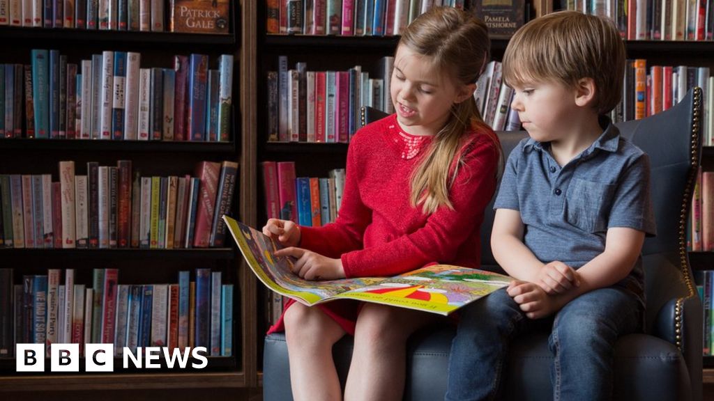 Why more people are using these libraries - BBC News