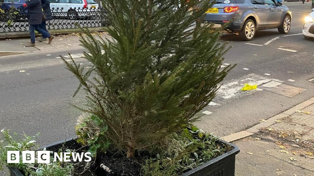 Bridport charity Christmas tree targeted by vandals