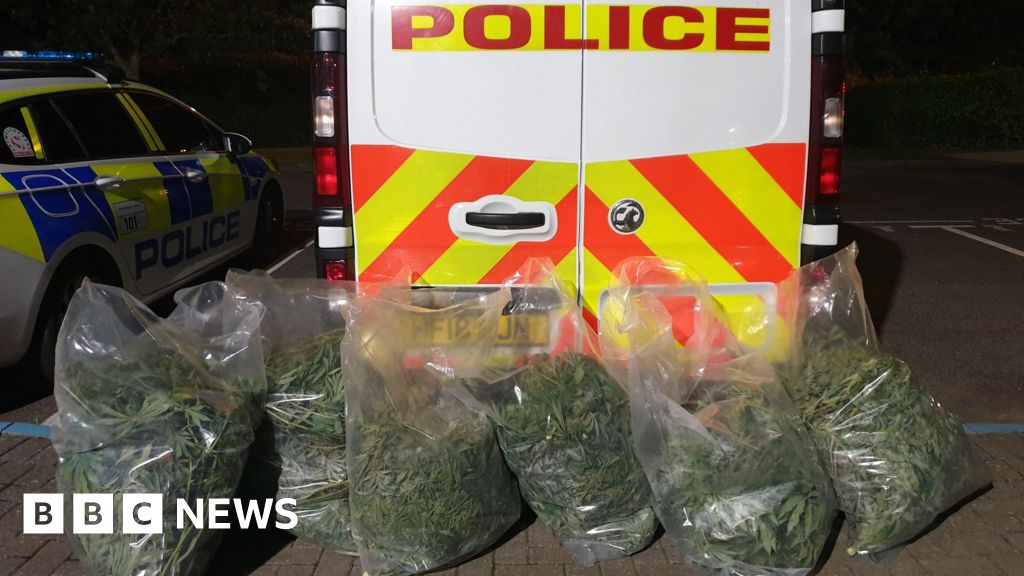 Police find £45,000 of cannabis after cuckooing tip-off in Weymouth ...