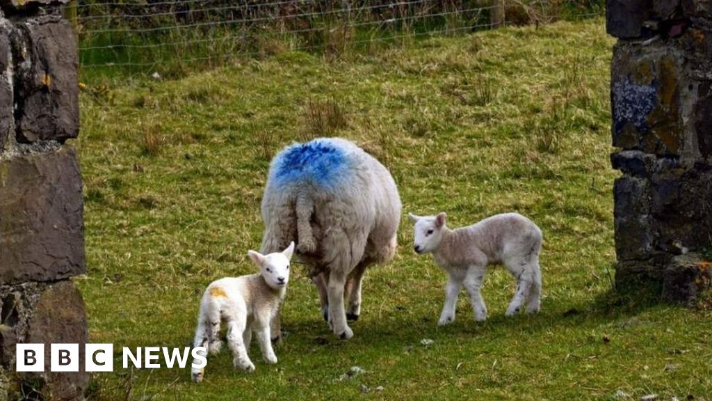 Why does our Easter weather vary so much? - BBC News