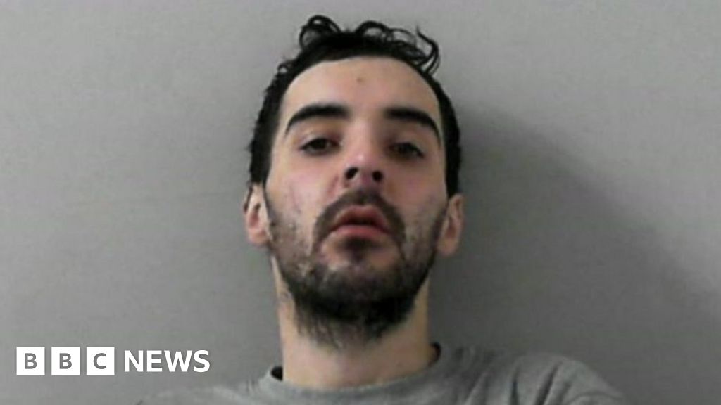 Castle Cary armed siege: Daniel Hannam jailed for 24 years - BBC News