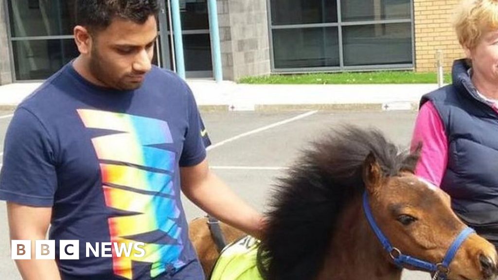 LBC host criticised for mocking reporter's 'guide horse' - BBC News