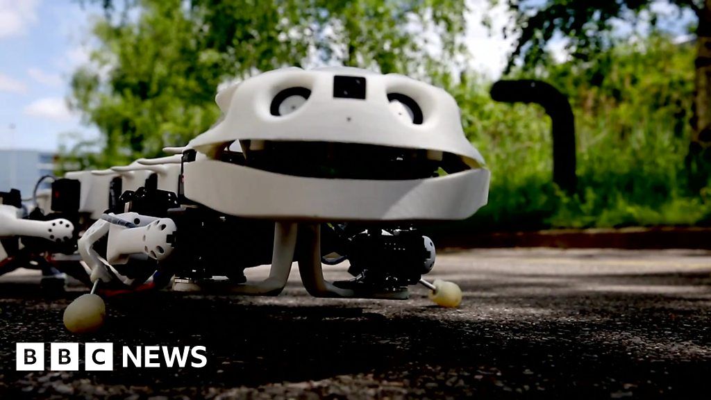 Robot salamander can walk and swim - BBC News