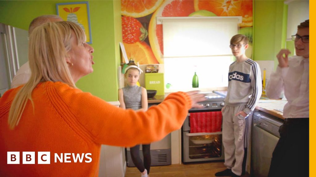 Divided by Brexit: The Hannon family six months on - BBC News