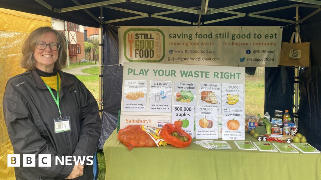 Stowmarket's first Go Green Go Wild day 'fantastic' - BBC News