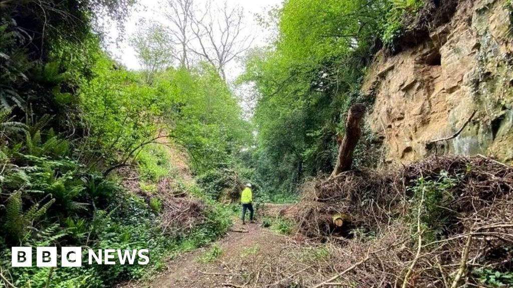 Popular 'rat run' Chinnock Hollow to stay shut after landslide - BBC News
