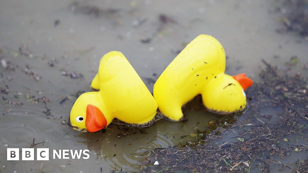 Rubber ducks dumped in New Forest pond take hours to clear - BBC News