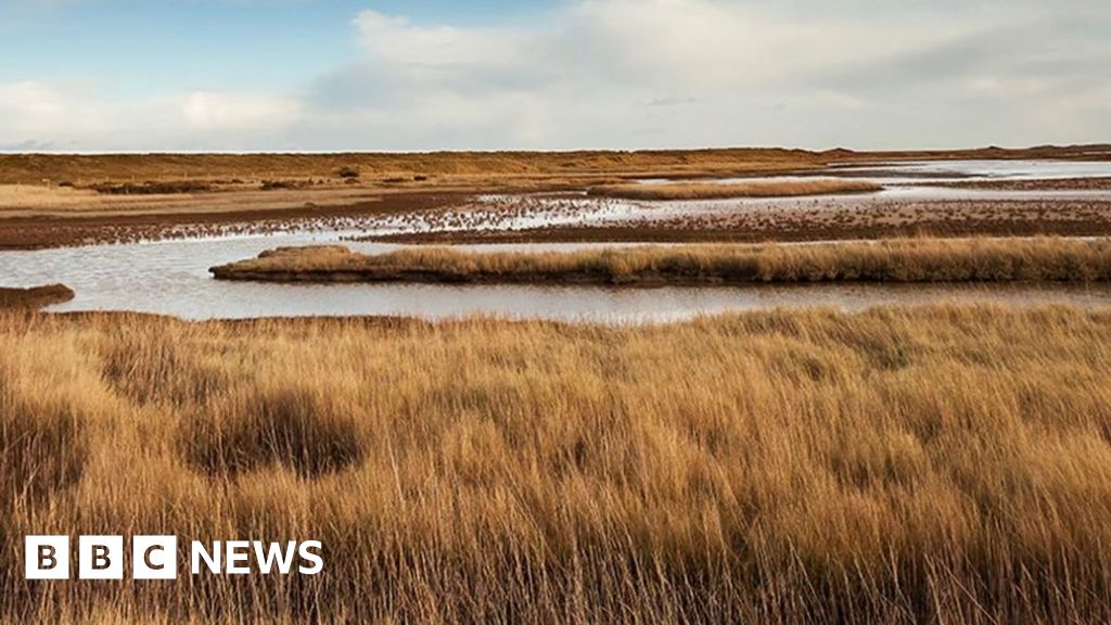 National Trust buys land on Norfolk coast at Salthouse - BBC News
