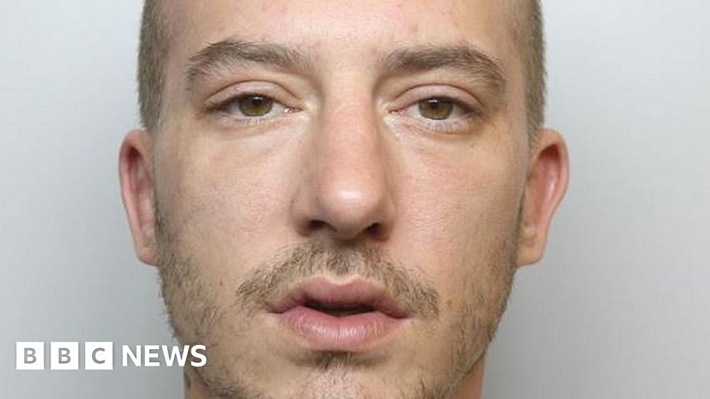 A4 fatal crash: Man who made fake GoFundMe page jailed