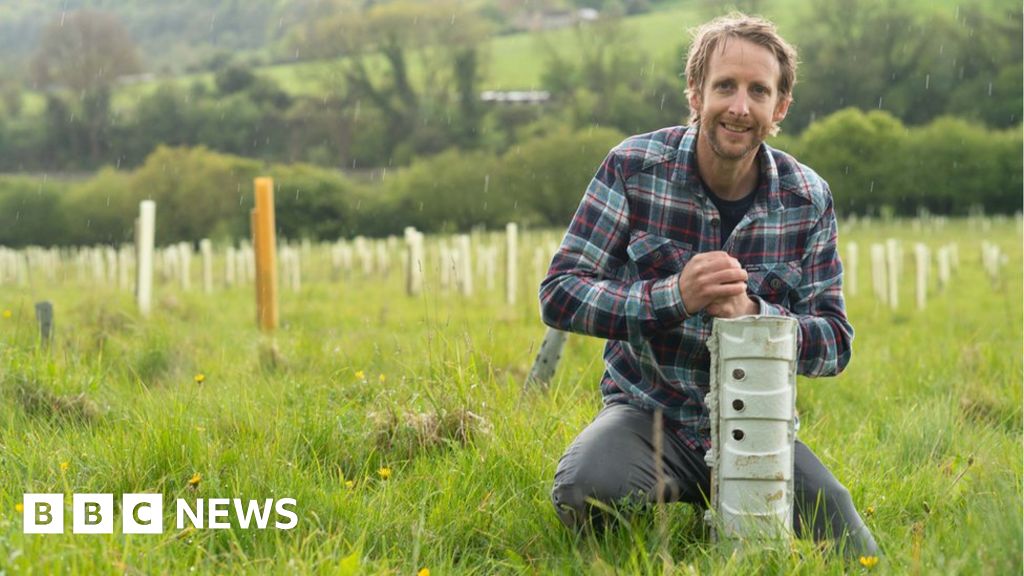 Woodland Trust pledges to end use of plastic tree guards