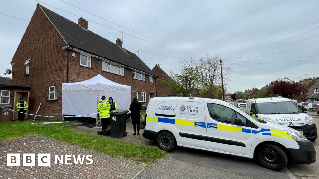 Essex murder suspect 'beat and strangled' estranged wife to death