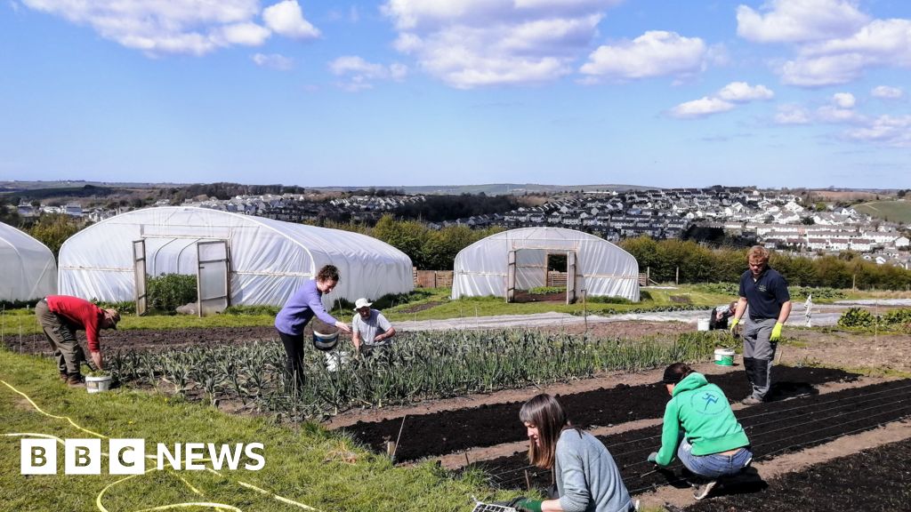 More land, funding and skills needed for Cornish growing projects - BBC ...
