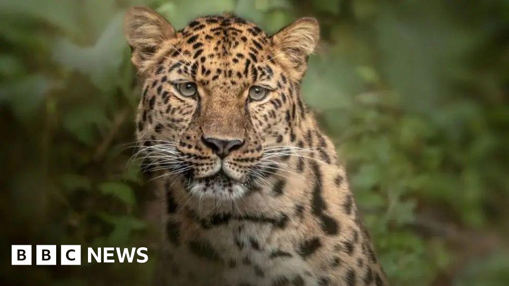 A year in pictures: Images of Devon from 2024