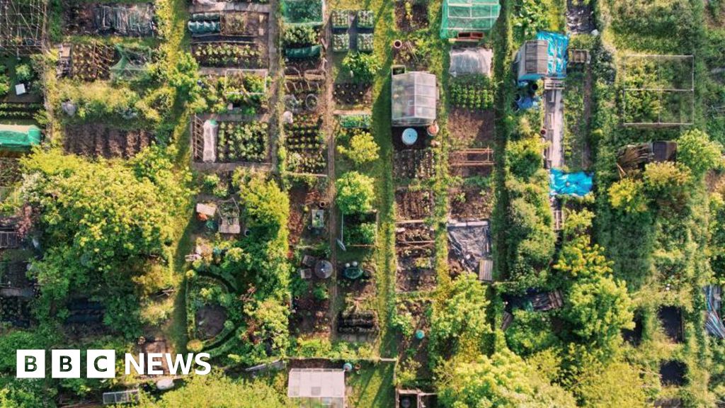 Horley community assets given to Reigate and Banstead council - BBC News