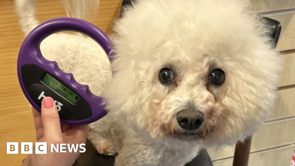 Animal charity warning over microchip scam email