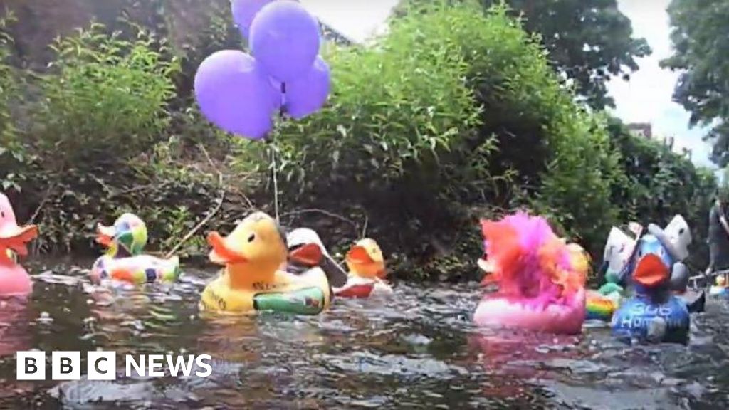 Staines: Charity hosts decorated duck race down the River Thames - BBC News