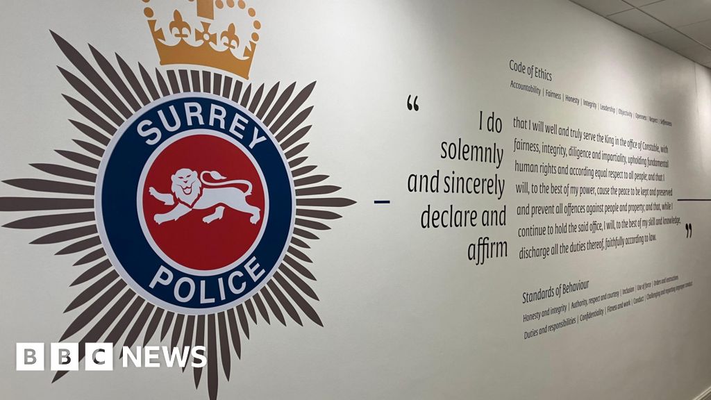 Surrey: Police trainee sacked for domestic abuse rape comment