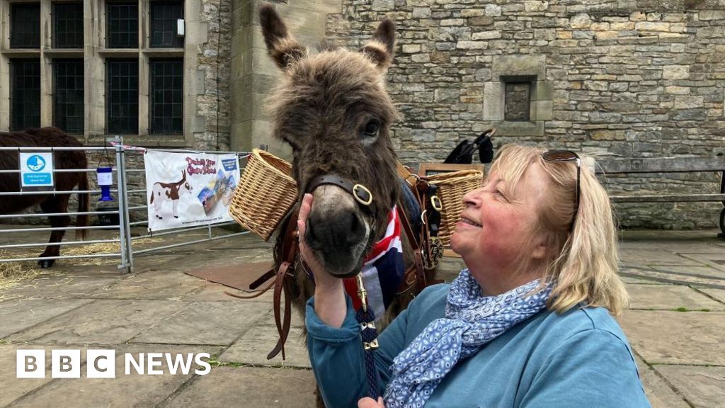 Richmond museum showcases donkeys and their role in wartime